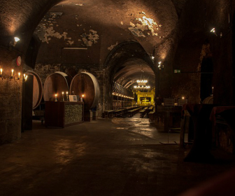 How to Build a Wine Cellar - Stories of Winegrower